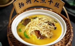 淮扬菜代表菜有哪些_淮扬菜经典名菜做法