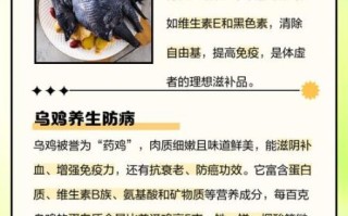 乌鸡的功效与作用_乌鸡的营养价值