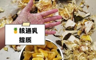 菠萝蜜的核能吃吗_菠萝蜜核怎么煮才好吃 菠萝蜜的核能吃吗_菠萝蜜核怎么煮才好吃