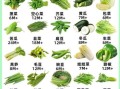 100种蔬菜图片大全名称_哪些蔬菜适合新手种植