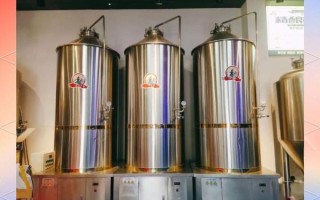 自酿鲜啤酒的详细步骤_自酿鲜啤酒需要哪些设备