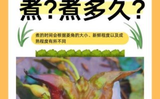 菱角怎么煮不黑_菱角煮多久不变色