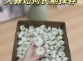 小蒜怎么保存不发芽_小蒜和蒜苗的区别