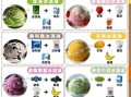 穷人自制冰淇淋_怎么做才省钱又好吃