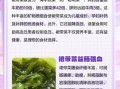 裙带菜的营养价值_裙带菜哪些人不能吃