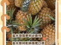 菠萝怎么吃不涩舌头_菠萝用盐水泡多久才甜