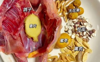 鸽子汤怎么炖最补气血_鸽子汤补气补血放什么料