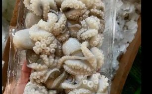 八爪鱼焯水多久才嫩_八爪鱼焯水后怎么炒好吃