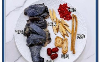 美容养颜汤怎么做_补气补血粥有哪些