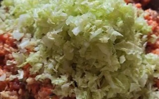 白菜馅饺子怎么拌馅不出水_白菜饺子馅不流水的秘诀