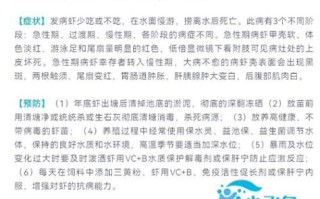 中国对虾养殖技术_对虾养殖常见问题