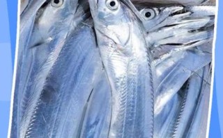 带鱼怎么杀_带鱼清理方法