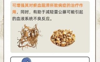 雷公藤的功效与作用_雷公藤可以长期服用吗