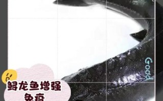 鲟龙鱼的功效与作用_鲟龙鱼适合什么人吃