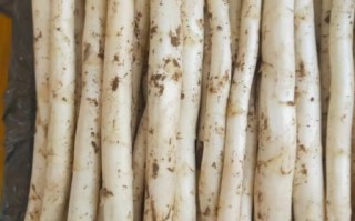 白芦笋不能和什么一起吃_白芦笋相克食物有哪些