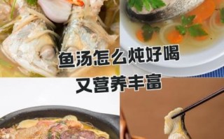 清炖鱼汤怎么炖最好吃_清炖鱼汤用什么鱼
