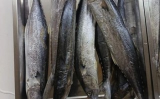 香酥鲅鱼怎么做_香酥鲅鱼的家常做法