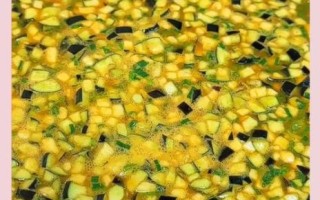 香煎茄子饼怎么做_茄子饼家常做法