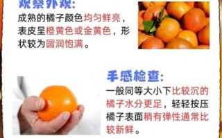 橘子上火吗_橘子下火吗