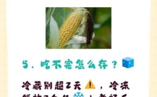 青玉米怎么煮好吃_青玉米蒸多久才熟