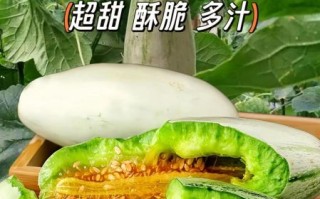 羊角蜜甜瓜的功效与作用_孕妇能吃吗