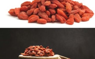 枸杞一天吃多少粒_枸杞一天吃多少克