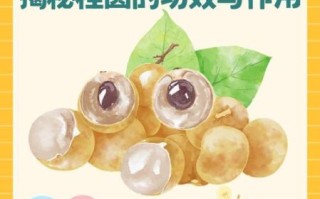 桂圆肉的功效与作用_桂圆肉怎么吃效果最好