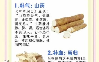 补气养血吃什么最好_哪些食物补血最快