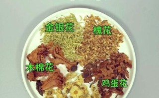 五花茶是哪五花_五花茶的功效与禁忌