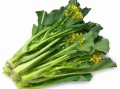 迟菜心的营养价值_迟菜心有什么功效