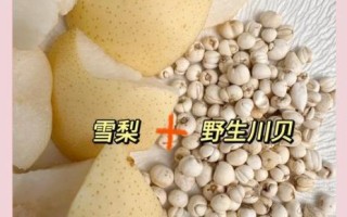 小孩咳嗽能吃川贝炖雪梨吗_川贝炖雪梨适合多大孩子
