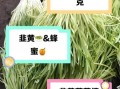 韭黄和什么一起炒好吃_韭黄不能和什么一起吃