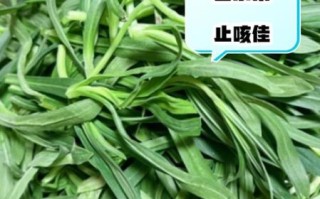 面条菜不能和什么一起吃_孕妇能吃面条菜吗