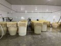 豆腐加工厂投资多少钱_小型豆腐厂成本明细