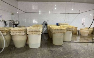 豆腐加工厂投资多少钱_小型豆腐厂成本明细