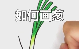 大葱简笔画怎么画_大葱图片简笔画教程