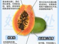 吃木瓜能丰胸是真的吗_木瓜丰胸科学真相