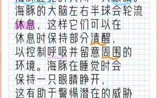 海豚怎么睡觉_海豚睡觉会淹死吗