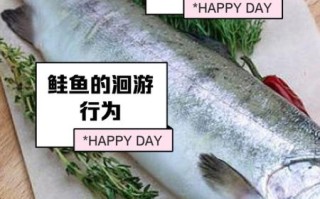 鲑鱼子微博是什么_如何正确食用鲑鱼子