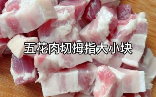 红烧肉怎么做好吃又简单_家常红烧肉做法步骤