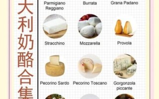 奶酪是什么味道的_奶酪有哪些常见口味