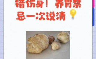 茯苓粉的功效与作用及禁忌_茯苓粉怎么吃效果最好 茯苓粉的功效与作用及禁忌_茯苓粉怎么吃效果最好