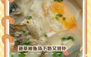 鲫鱼豆腐汤催奶一般几次见效_喝多久才有奶
