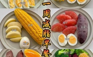 吃什么减内脏脂肪最快_最有效的食物有哪些