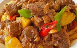 鸭肉怎么做好吃_鸭肉最好吃的8种做法