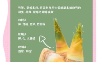 冬笋和春笋哪个好吃_口感与营养全面对比