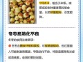 哪些人不能吃冬枣_冬枣禁忌人群有哪些