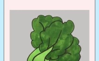 青菜怎么画_青菜简笔画步骤