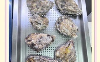 烤海蛎子蒜泥怎么做_蒜泥酱调制比例