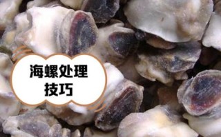 海螺肉怎么做好吃_海螺肉的做法大全家常窍门